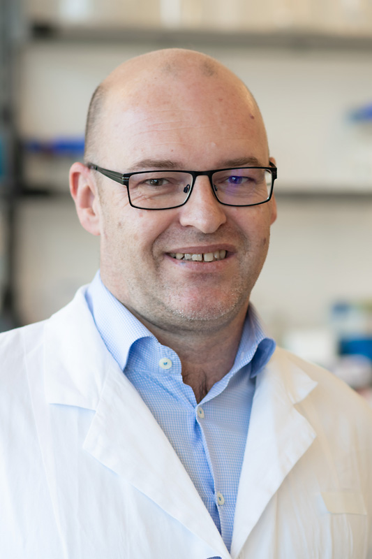 Neue Möglichkeiten für Immundiagnostik und -therapie bei COVID-19 ...